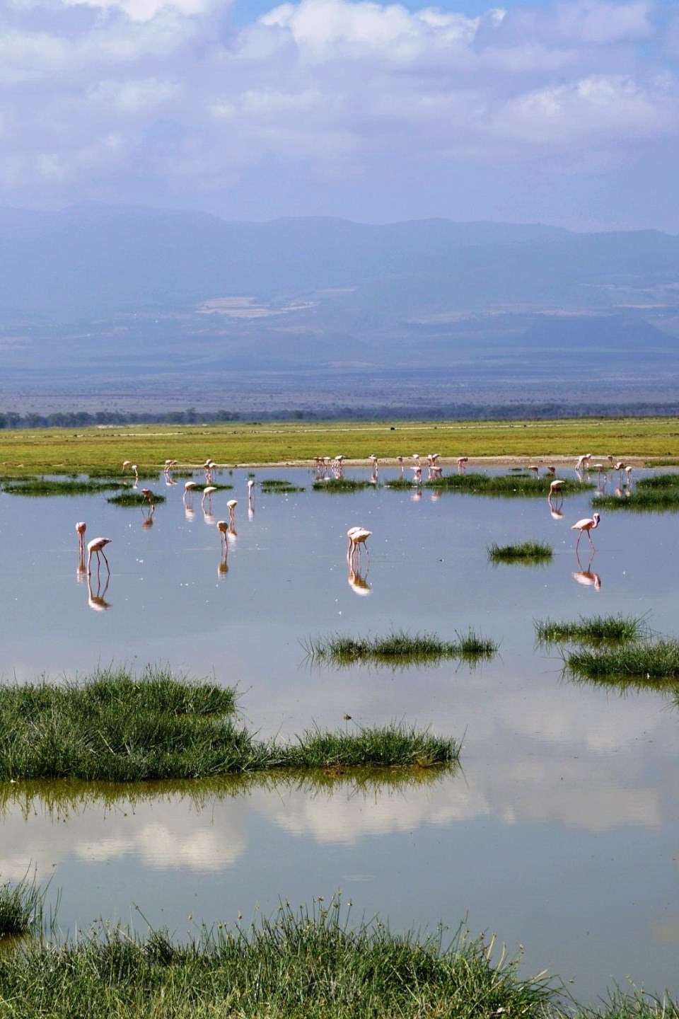 Rusinga Island Lodge Luxury Safari | Best #1 Beach Safari